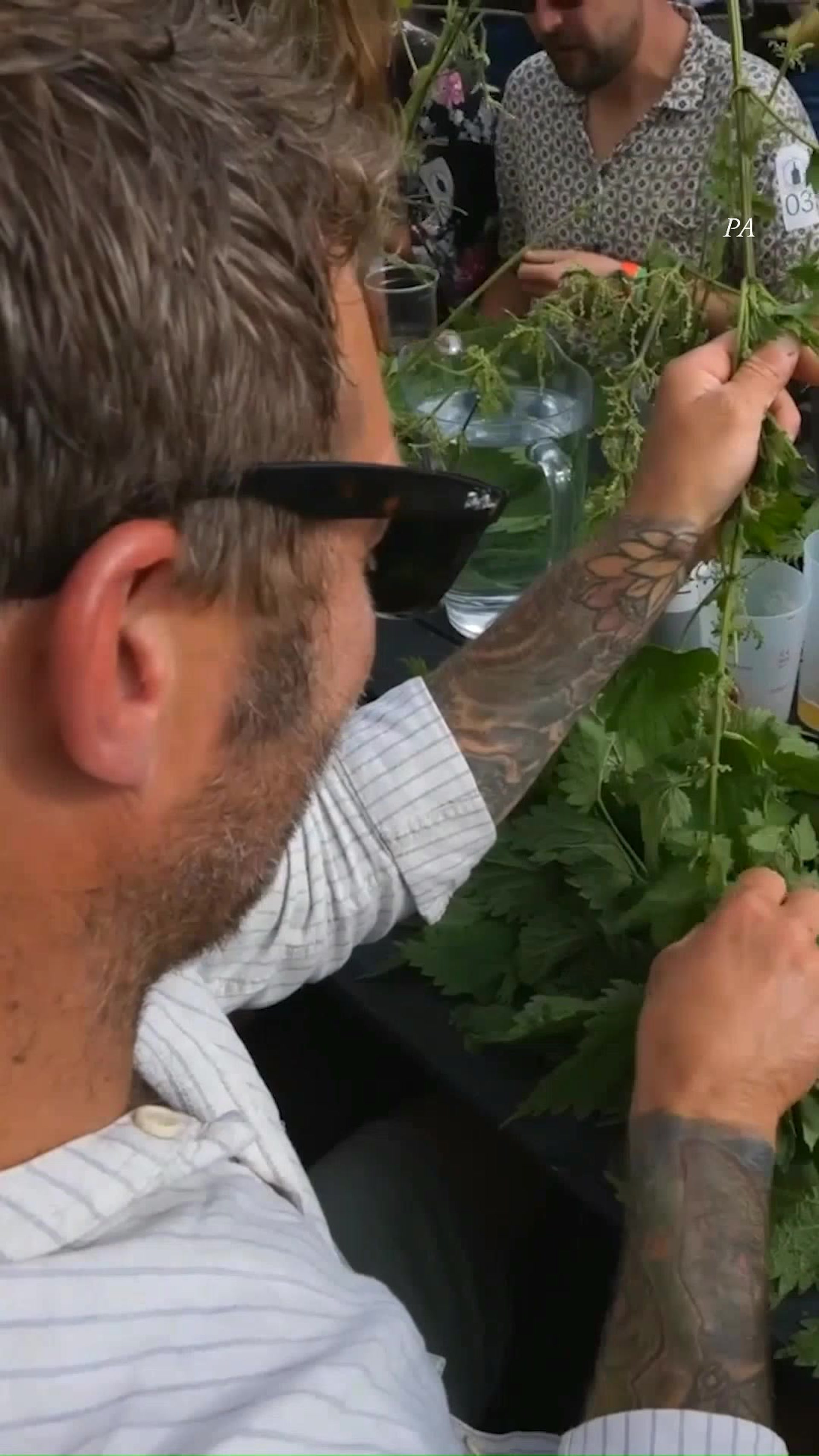 World stinging nettle eating competition takes place in Dorset