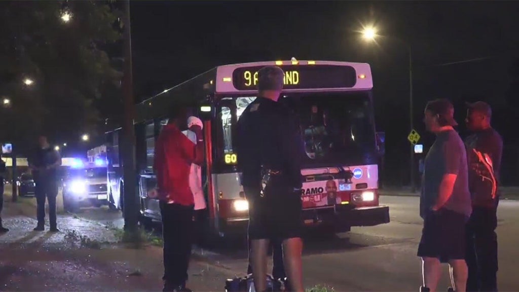 Man robbed, beaten on CTA bus in Chicago's West Englewood community