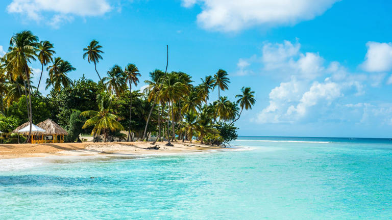 US government issues travel alert for Caribbean destination due to ...
