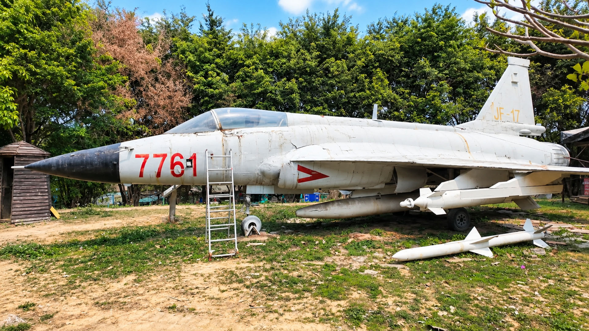 This white jet hidden under trees feels like a discovery