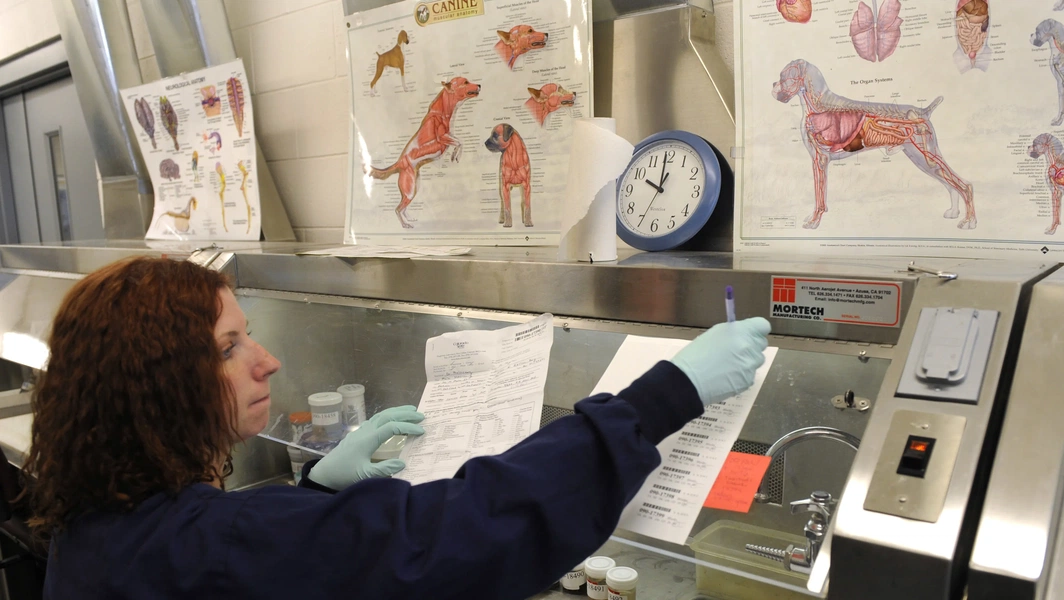 Colorado State expands veterinary education and care
