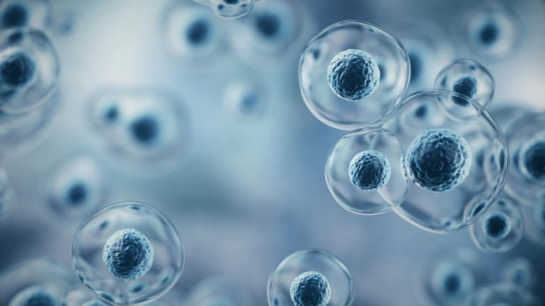 Syntax Bio expands Series A to $14.4M, adds leadership and board members