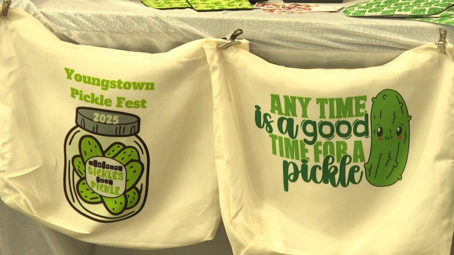 Pickle enthusiasts can once again indulgeat Youngstown Pickle Fest