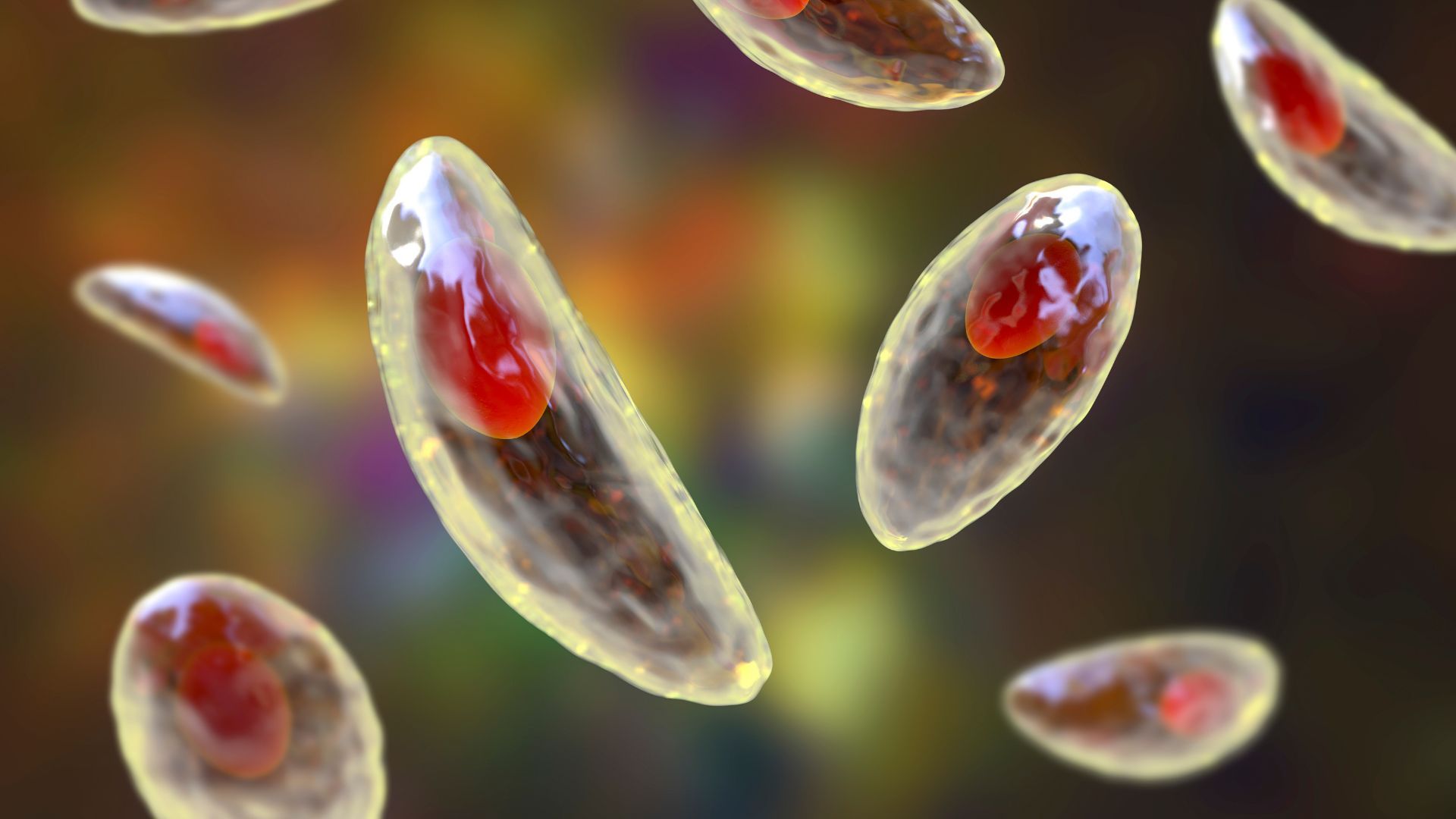 Scary parasitic diseases