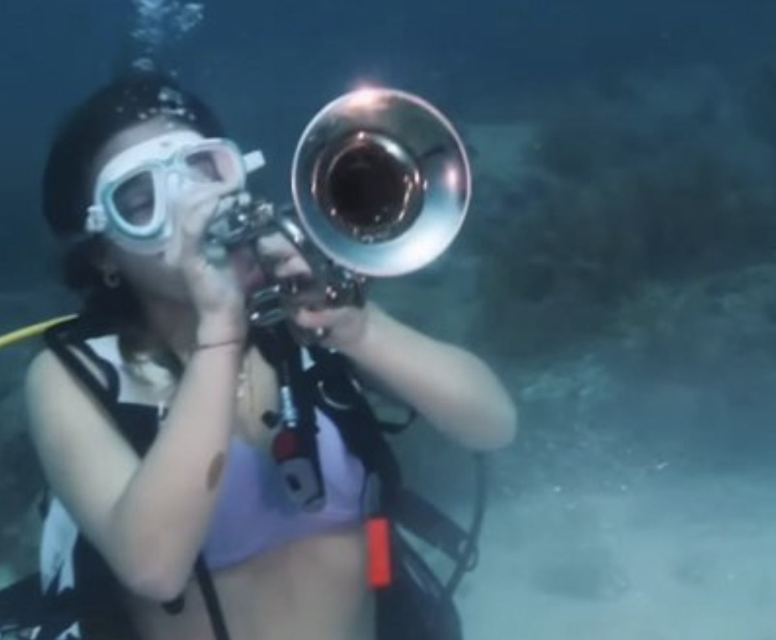 15 pics showing anything and everything happening underwater