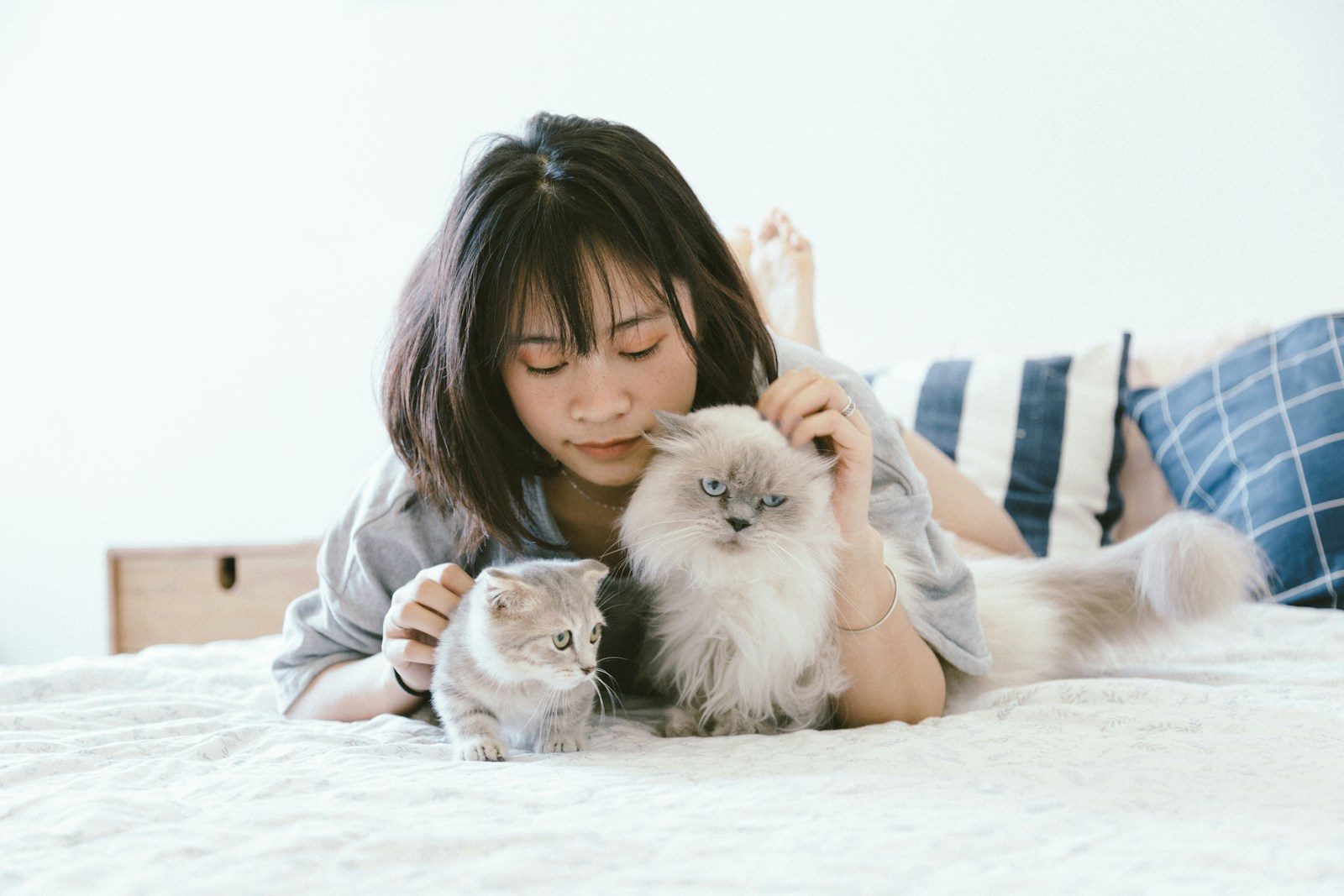 Could cuddling your cat when stressed actually make you feel worse?