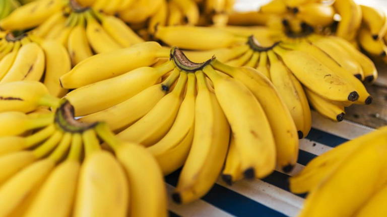 Yoga Day: What should you eat before a yoga class to feel light yet ...