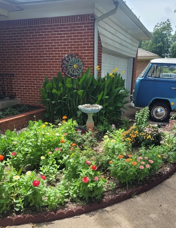 Two years after ripping out the lawn, this flower bed is thriving ...