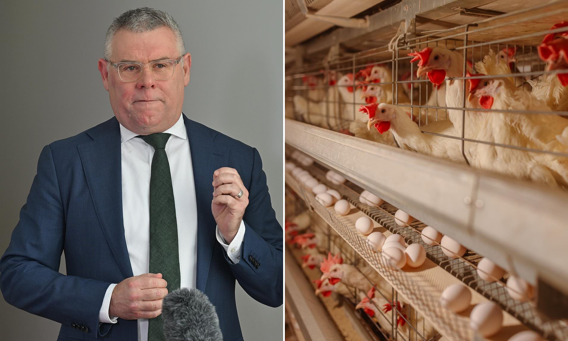 Dire fears bird flu is spreading after deadly virus was detected in ...