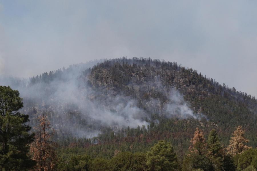 Bear Fire in Gila National Forest now at 97% containment