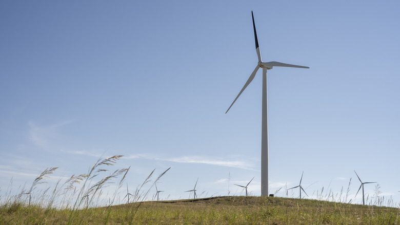 A single black wind turbine blade is having a breakthrough effect on ...