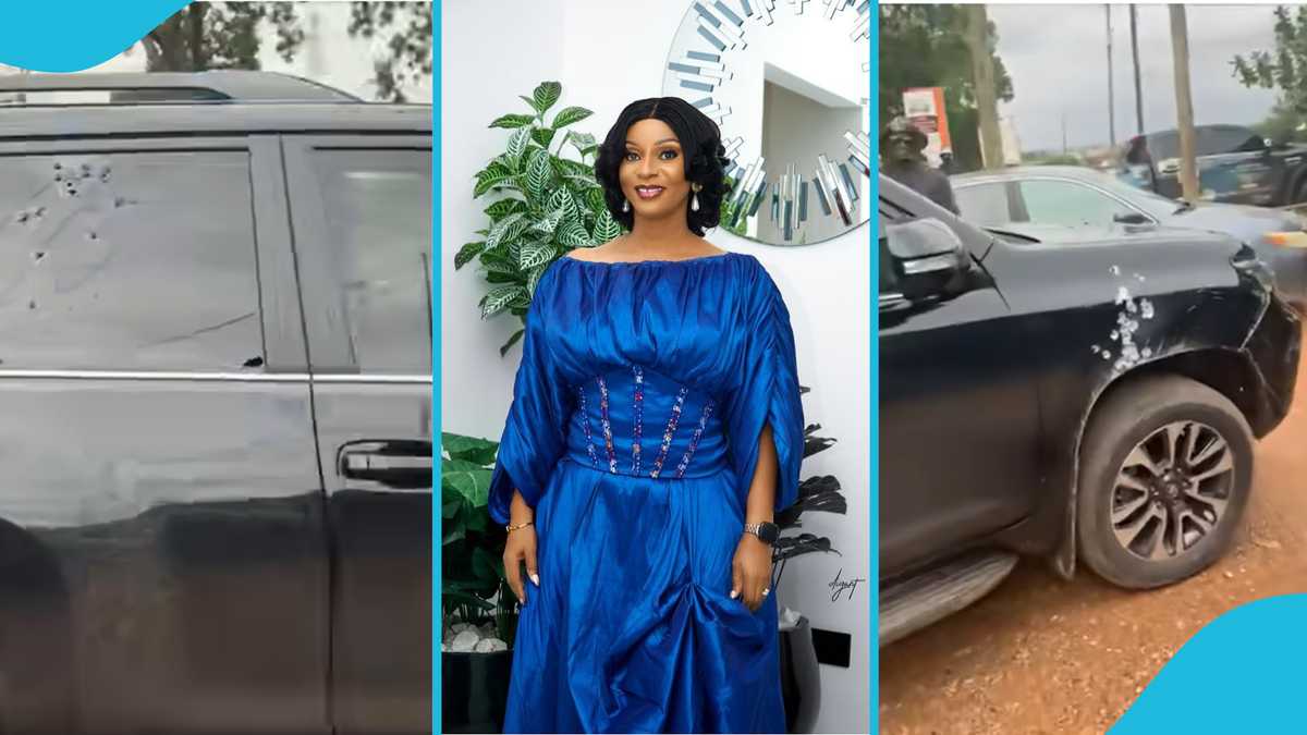 Leadership dispute, private security and all details of Adwoa Safo ...