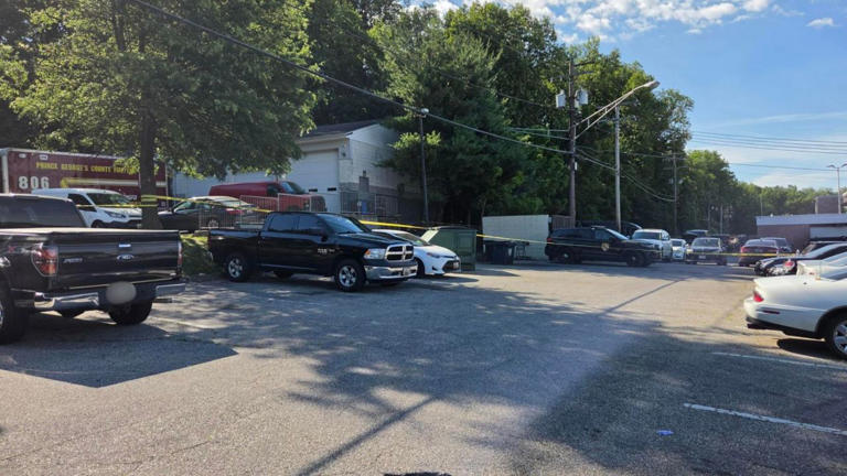 3 killed in single-engine plane crash in Bowie, officials say