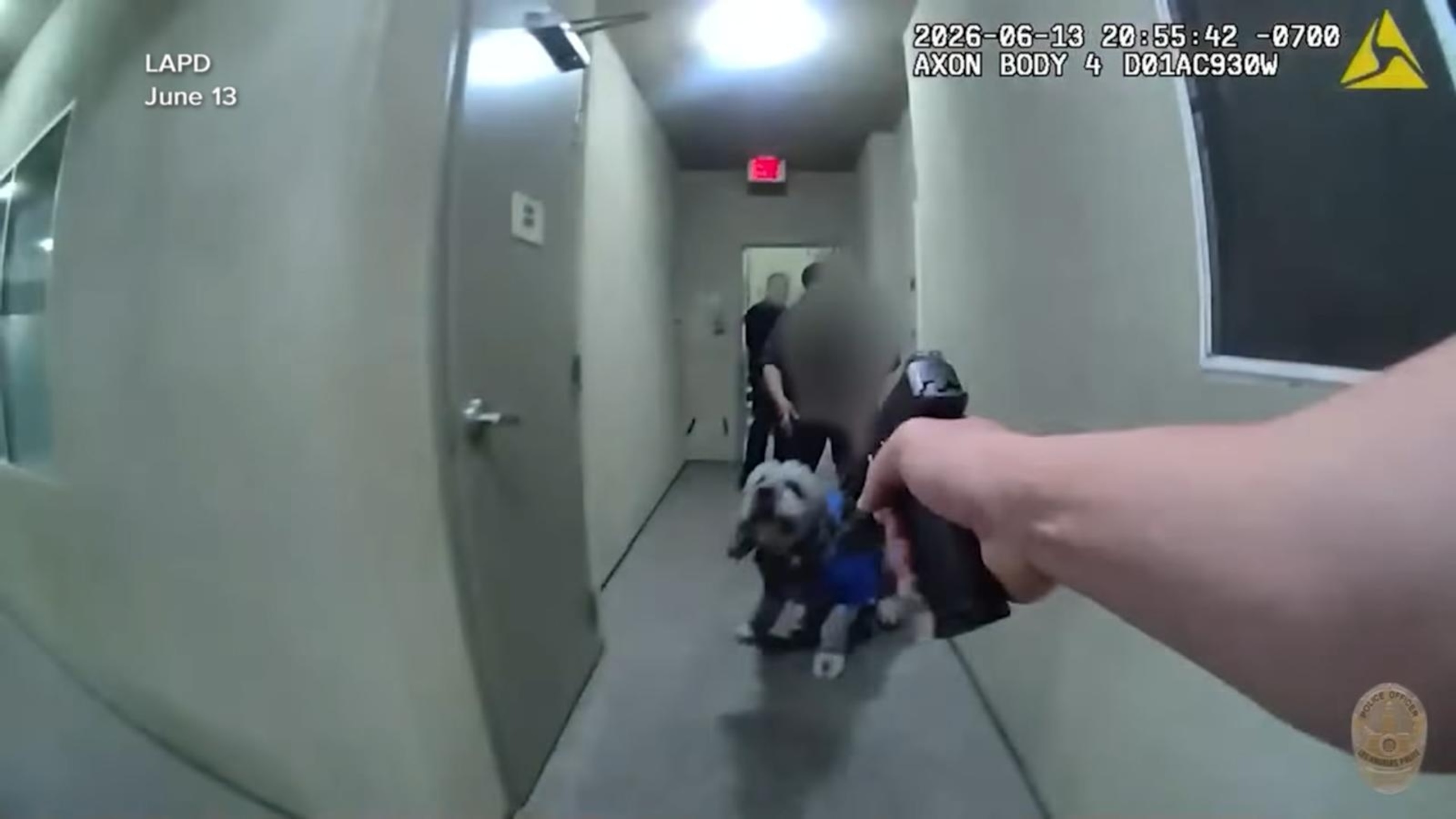 Investigation into police shooting of Knicks fan's dog