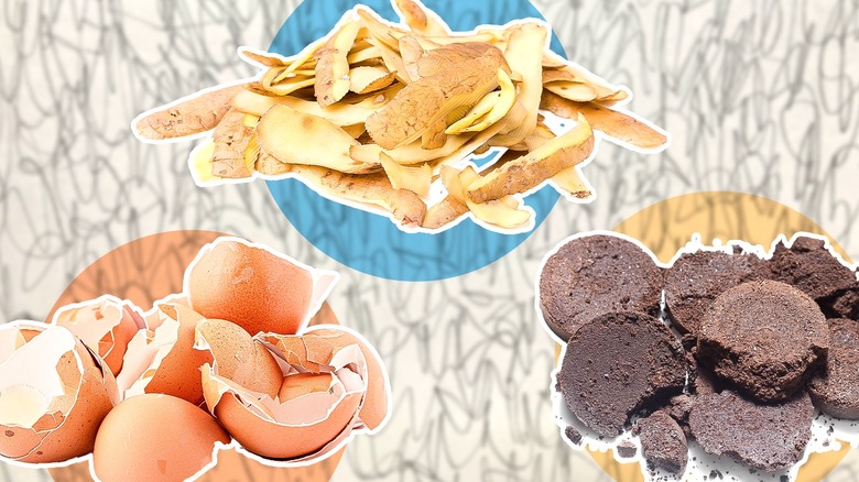 14 food scraps you should never put down the garbage disposal