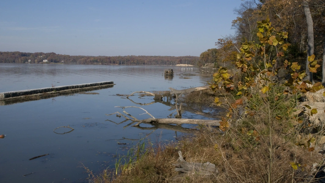 Exploring fossil beach at Westmoreland State Park