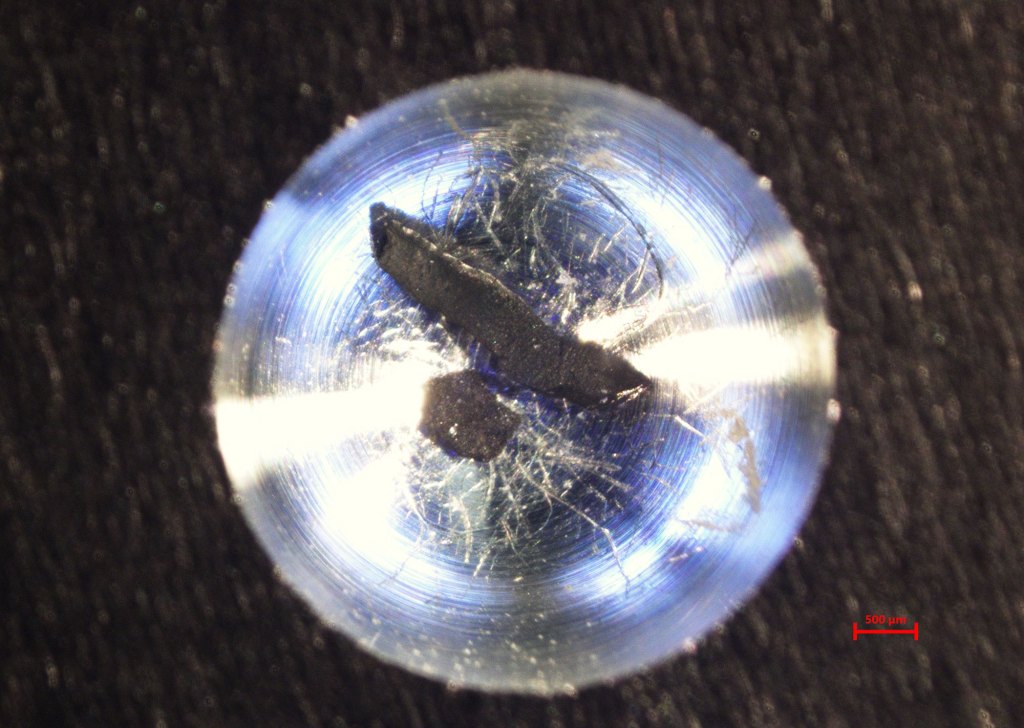 Bay contains microplastics 10 times smaller than previously measured ...