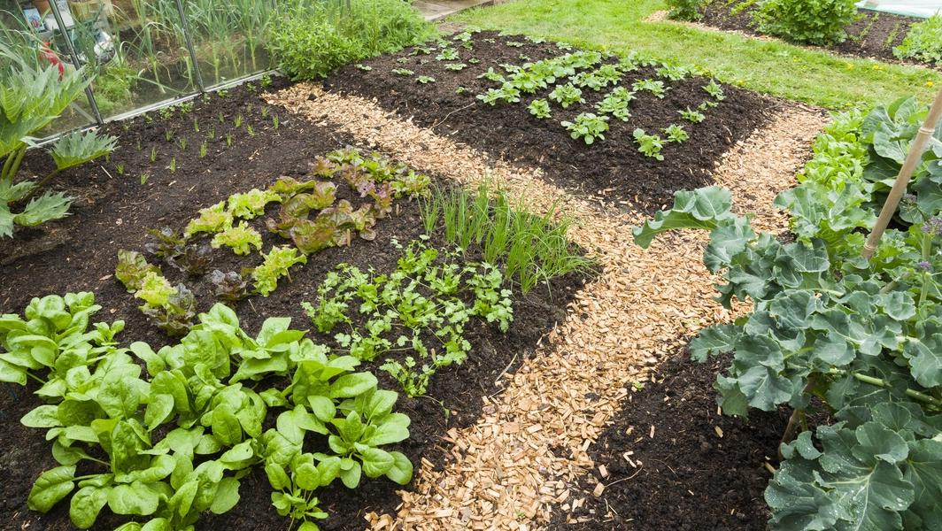 7 common garden soil mistakes to avoid