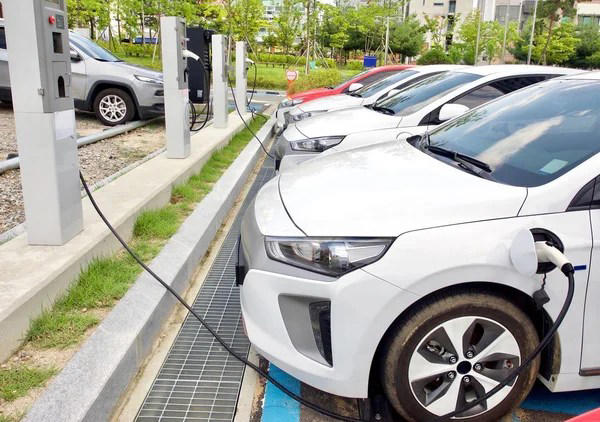 REE’s by-wire EV platform earns CES 2025 innovation honor