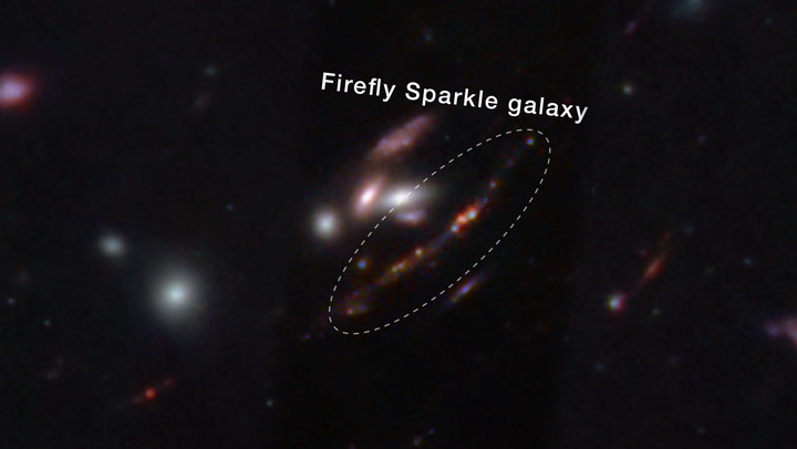 James Webb Space Telescope captures the ancient 'Firefly Sparkle' galaxy