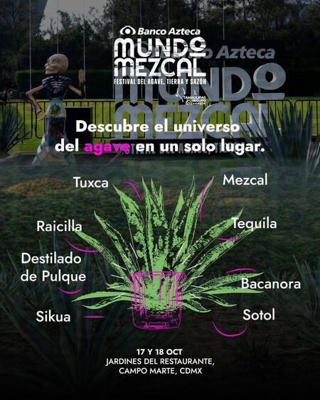 Ya viene Mundo Mezcal 2026, festival que celebra al agave con ...