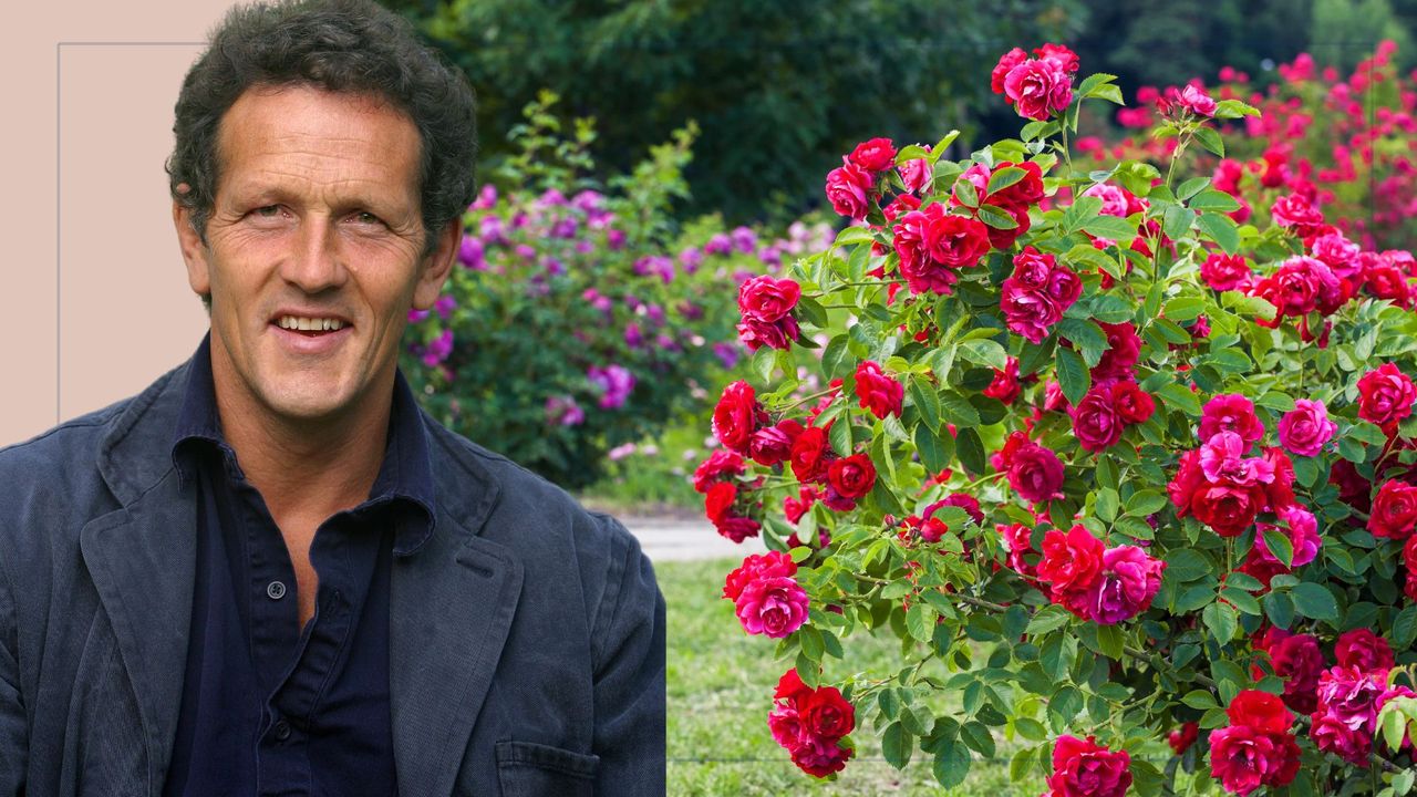 This is the one gardening job Monty Don does every day during June ...