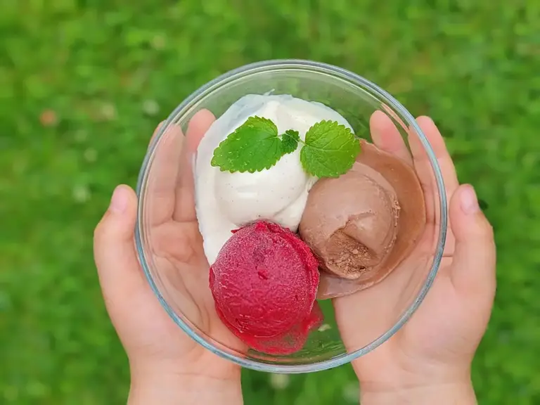 Test: Výrobník domácí zmrzliny Sencor Gelateria vyrobí gelato i sorbet ...