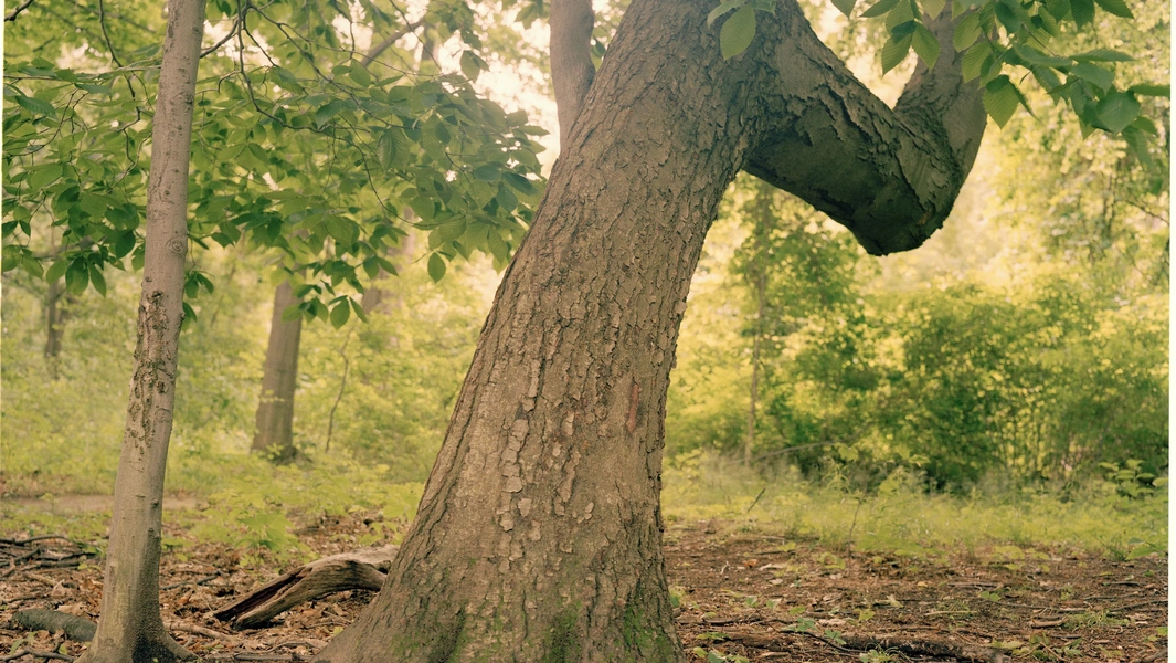 4 ancient nature preserves of Indiana