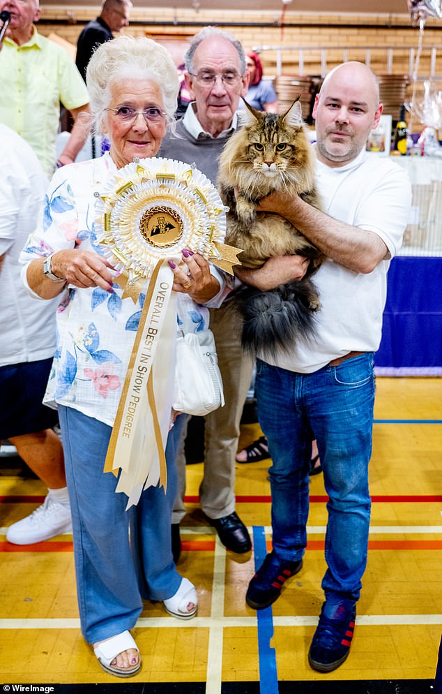Feline lucky! Cat show star Logan makes a big impression at annual event