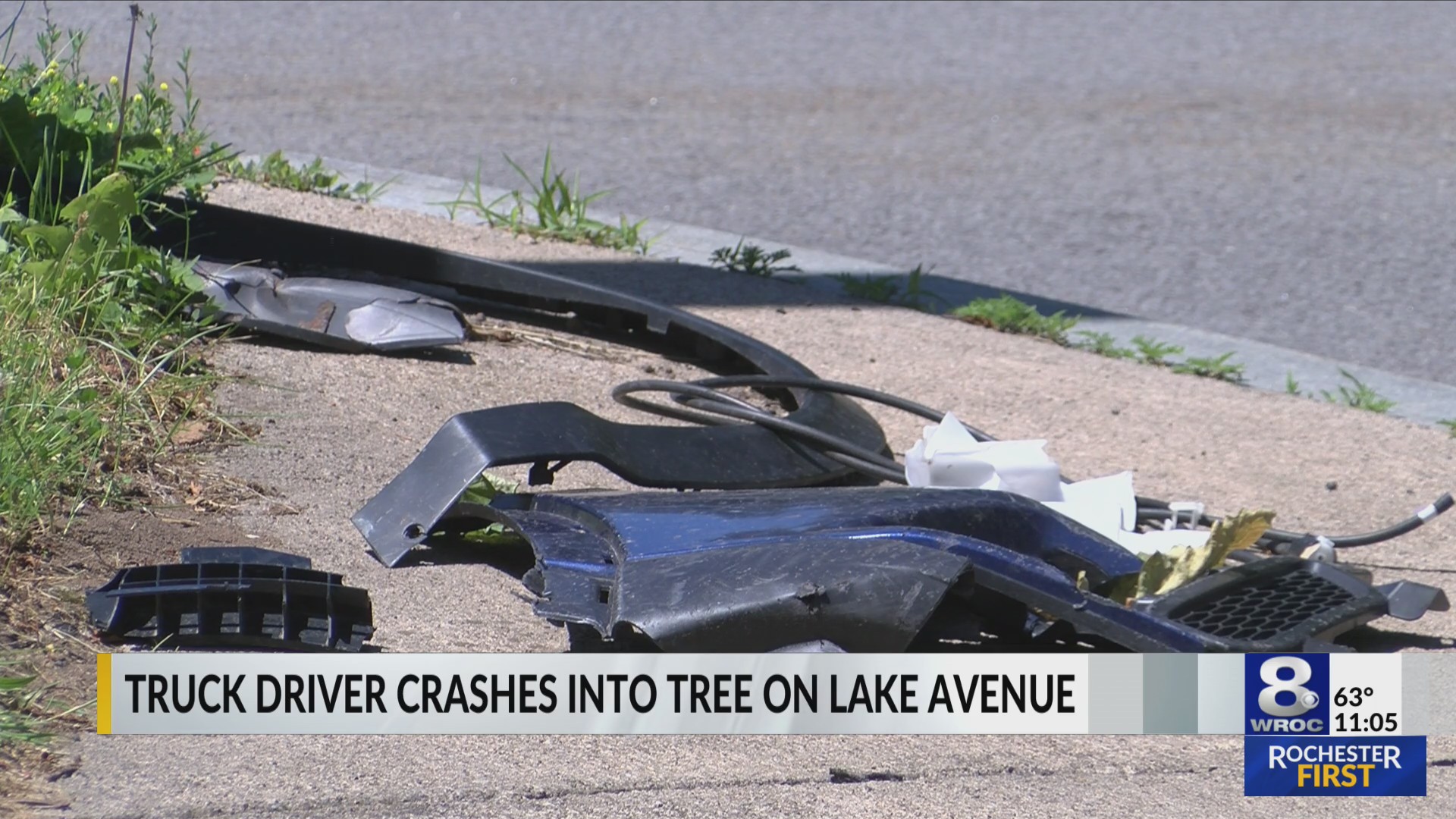 Truck driver crashes into tree on Lake Avenue