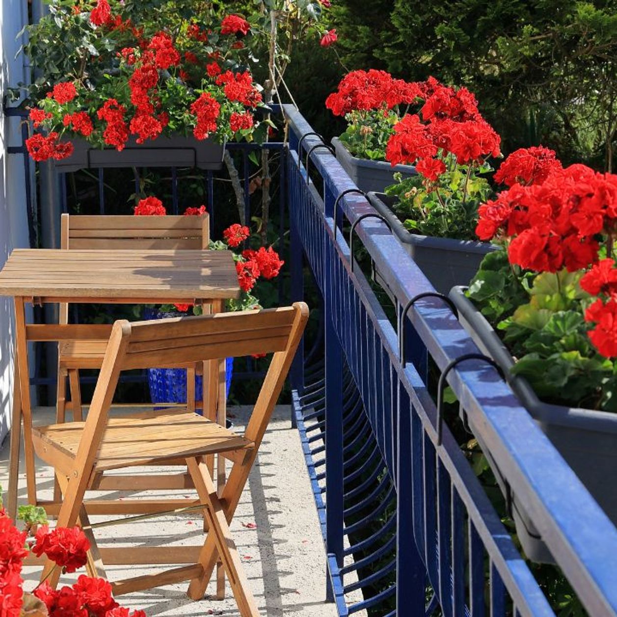 Balcon ensoleillé pendant la canicule : "Mon grand-père m'a confié une ...