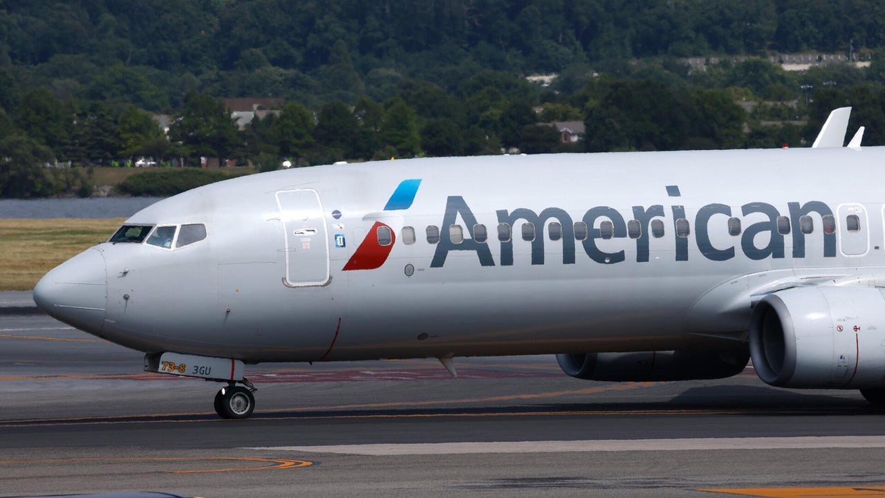 Pilot reports biting passenger on American Airlines flight