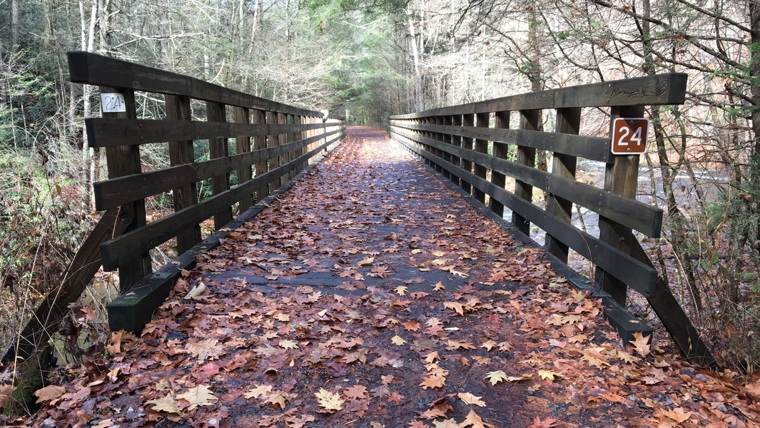 Virginia Creeper Trail: History, scenery, and visitor tips