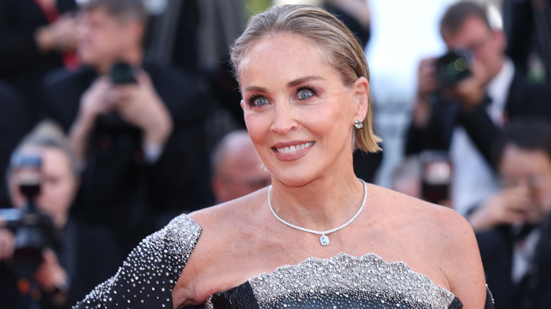 Sharon Stone's most talked-about look of the '90s is now a high-low ...