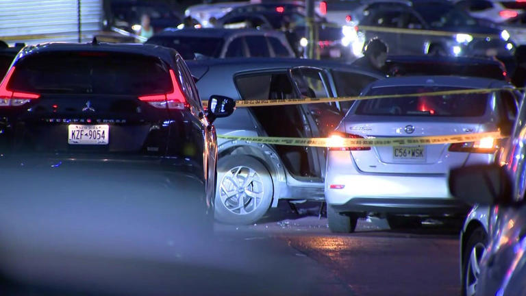 Suspect shot by police after striking officers with vehicle in the ...