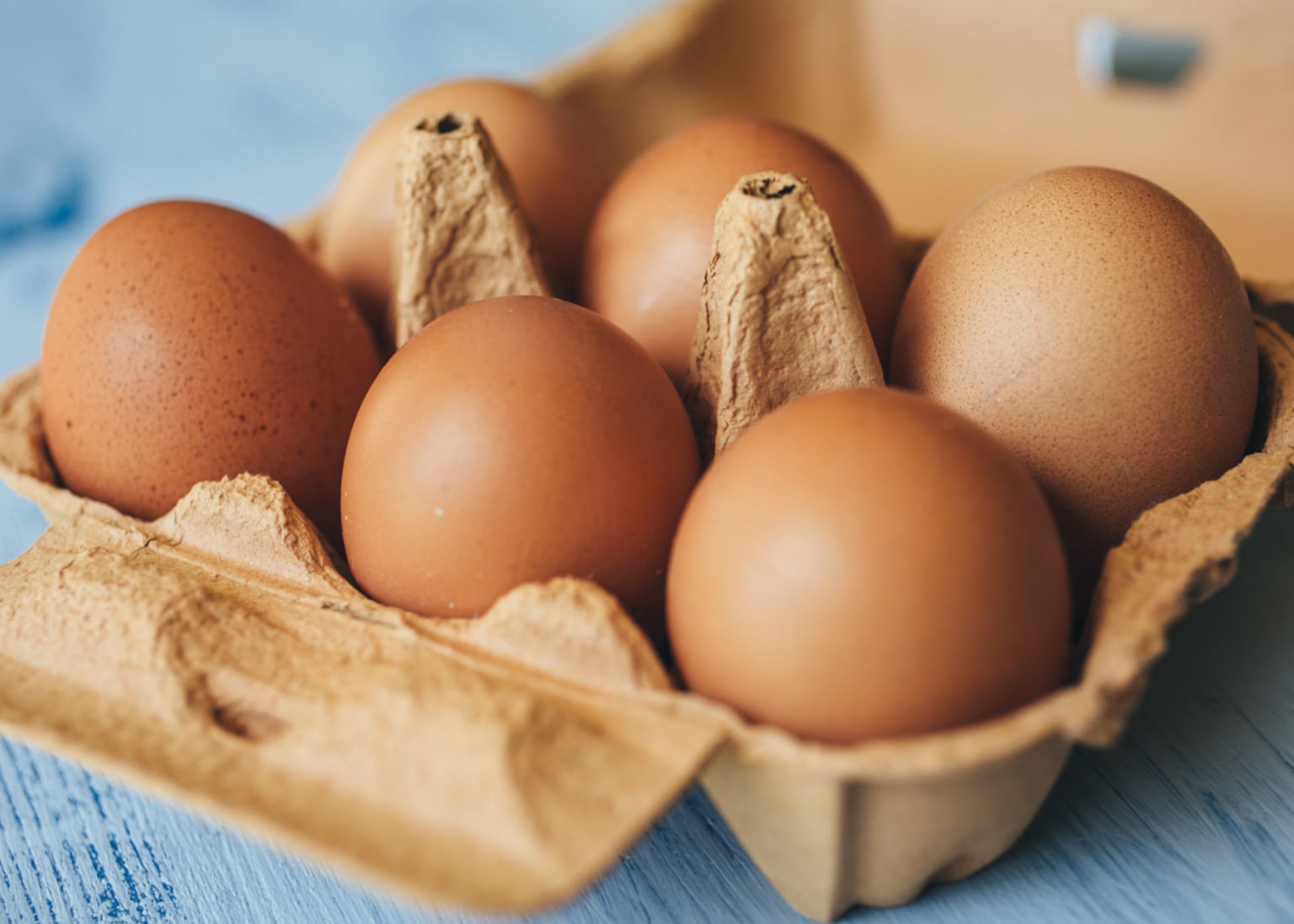 Man fined for taking eggs across border without export licence: On This ...