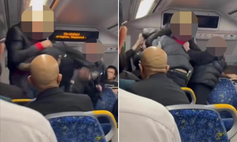 Wild train brawl breaks out between teens and passenger after simple ...