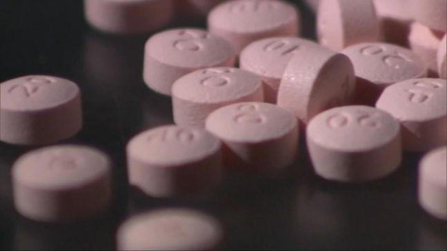 Michigan overdose death rates decline, health officials still concerned ...