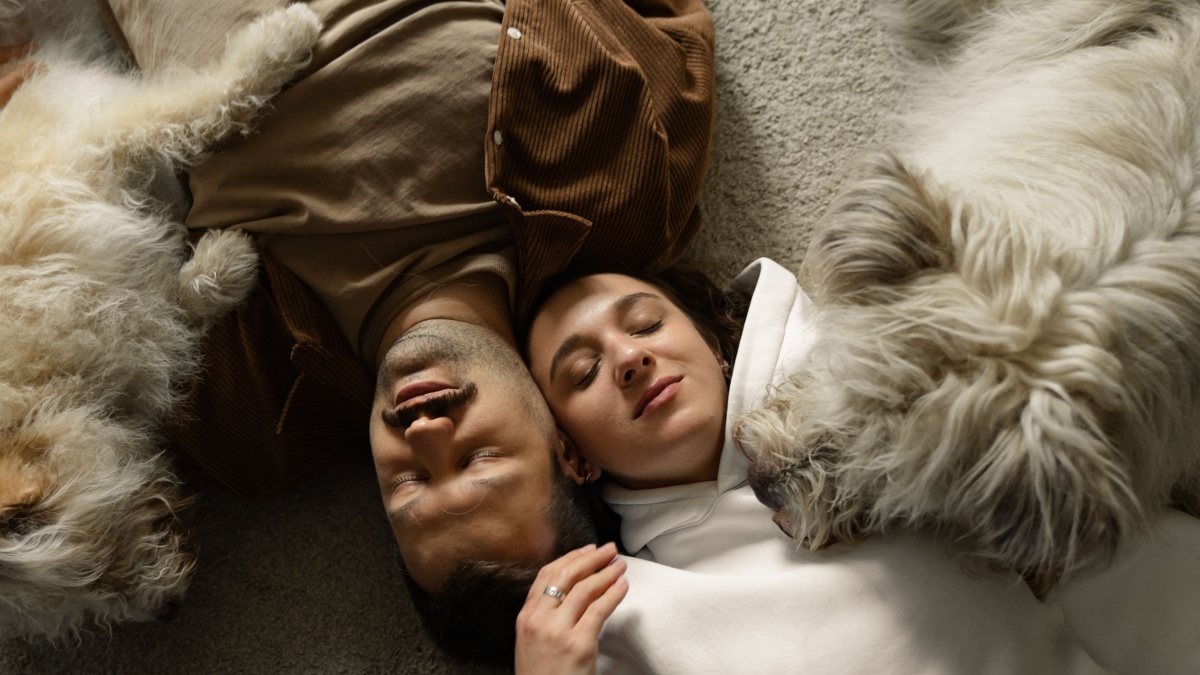 Science says people who sleep with dogs share these personality traits