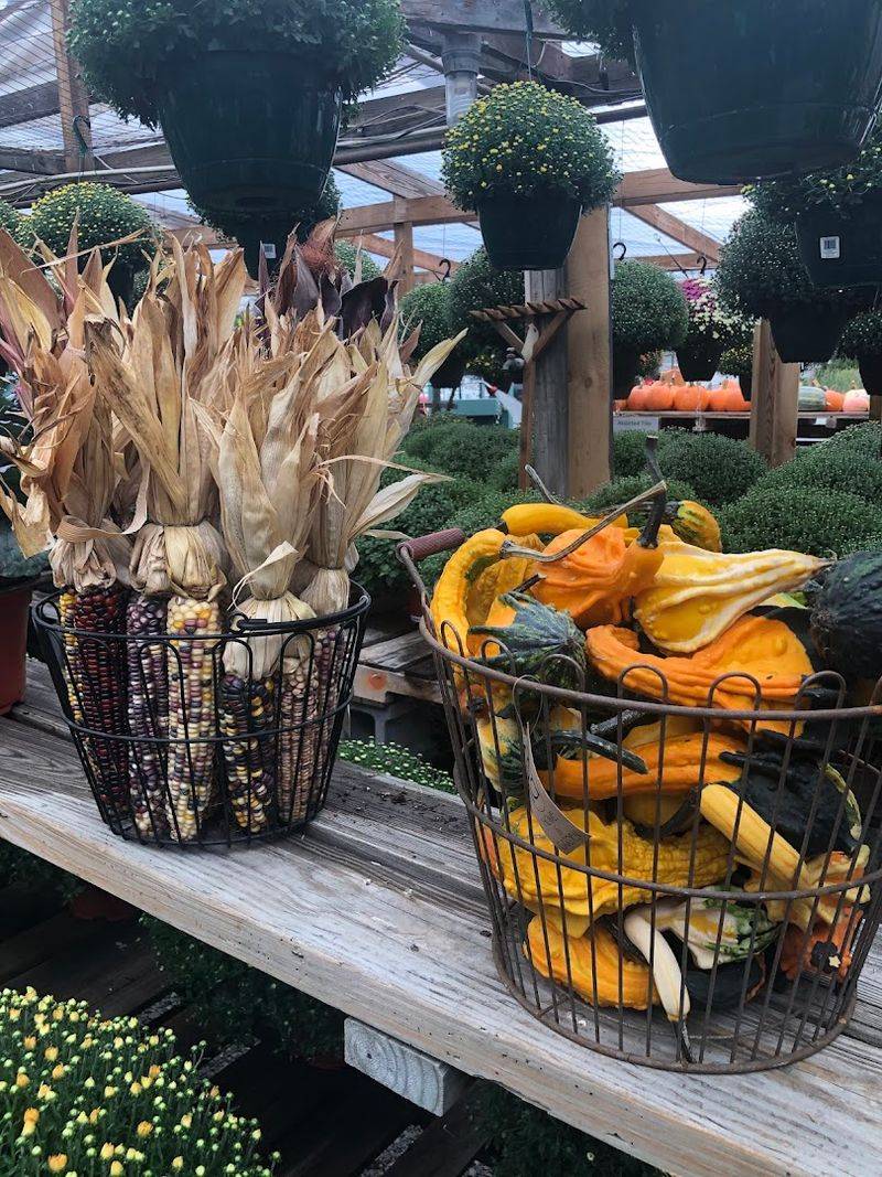 This West Virginia country market is a seasonal haven of flowers ...