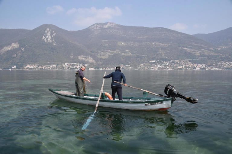 Lago d’Iseo senza agoni, una pesca amara: “Si sono già dileguati ...