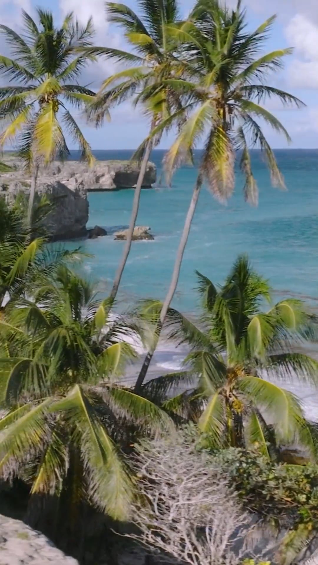 Sorvola Barbados: una vista del paradiso ripresa da un drone