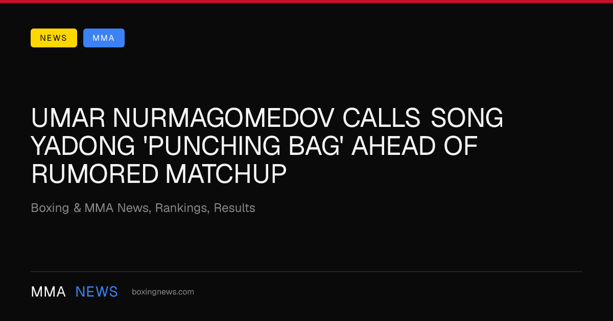 Nurmagomedov: Song Yadong 'a punching bag'