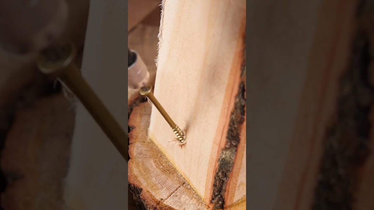 Amazing chainsaw trick for perfect cuts
