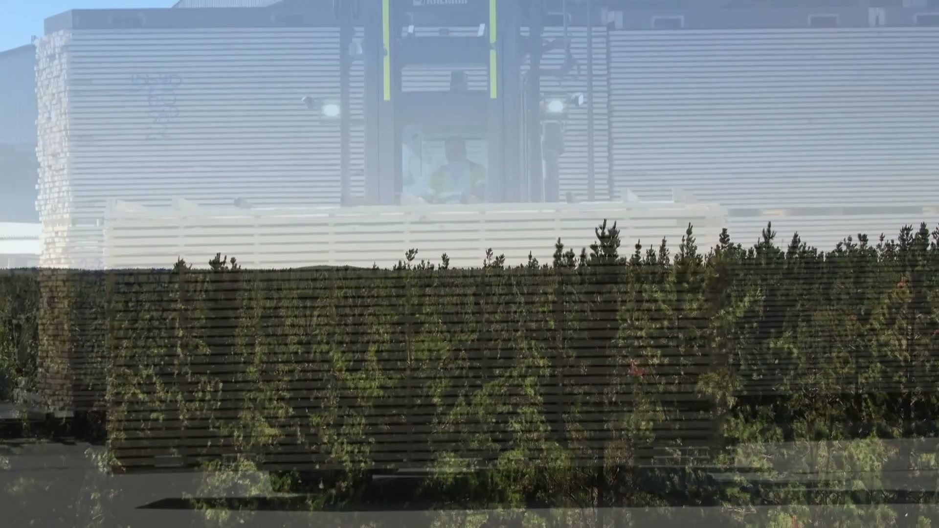 Forestry industry says Russian timber pushing out Australian products
