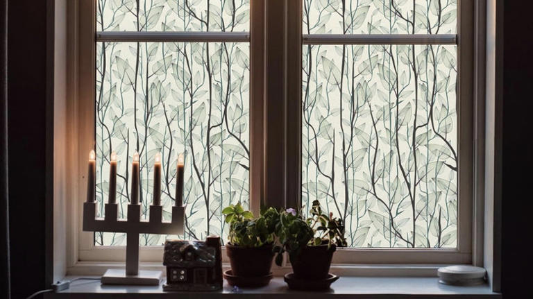 Amazon has a nature-inspired blind alternative to add privacy to windows