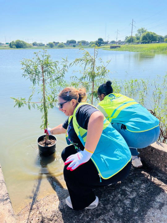 Volunteers brave the heat to plant trees at Bill and Ann Miller Park