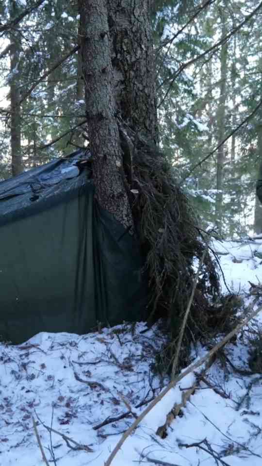 From freezing temperatures to a cozy survival shelter