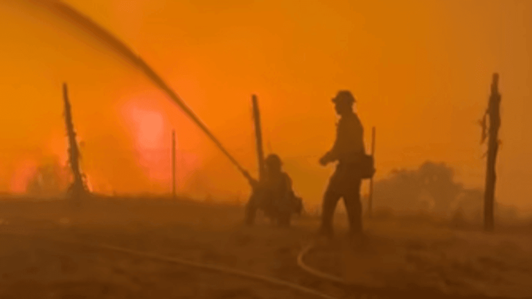 Gallery: Photos show firefighters battling Iron Fire overnight to ...