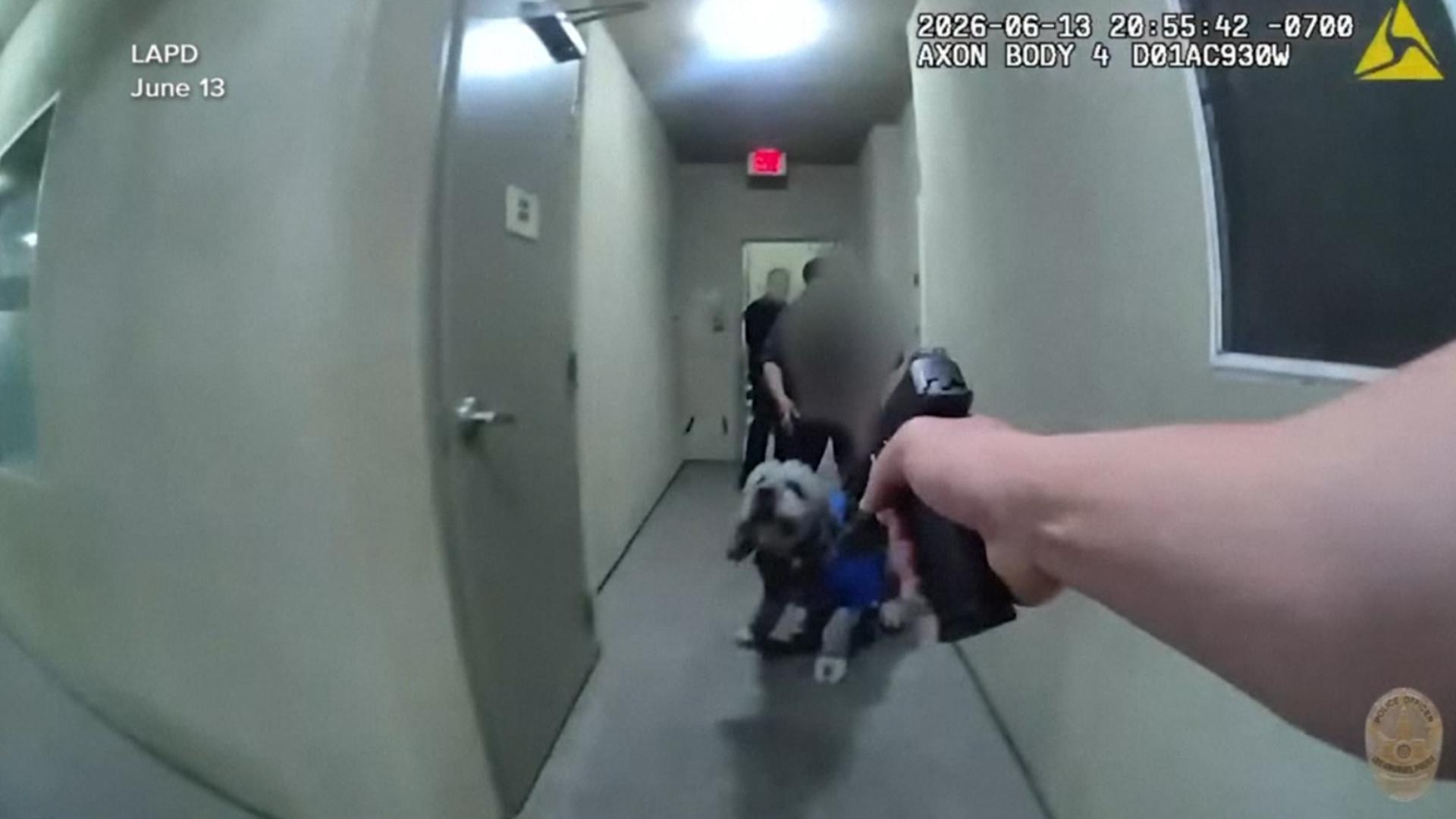 Investigation underway, outrage grows after cop shoots Knicks fan's dog